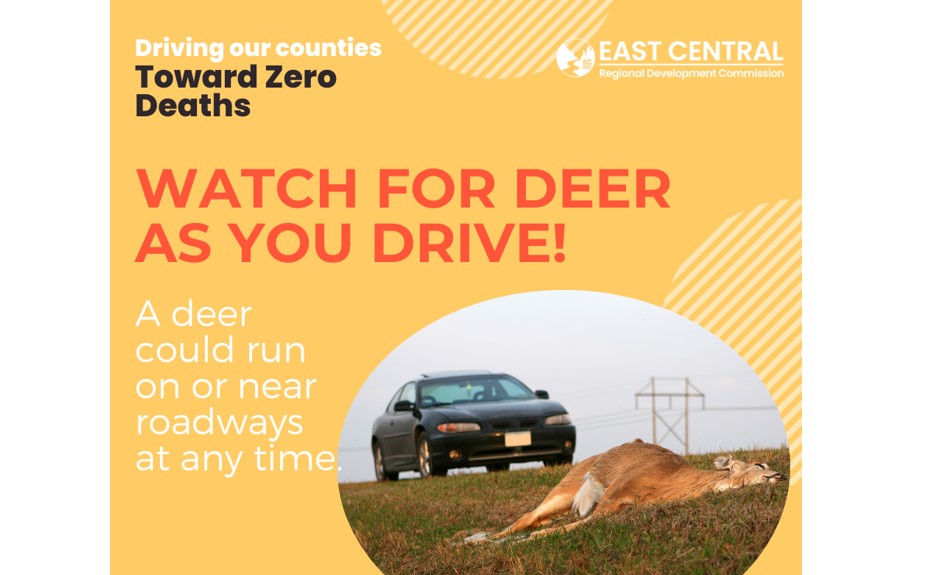 Watch for Deer as you Drive! – EAST CENTRAL Regional Development Commission